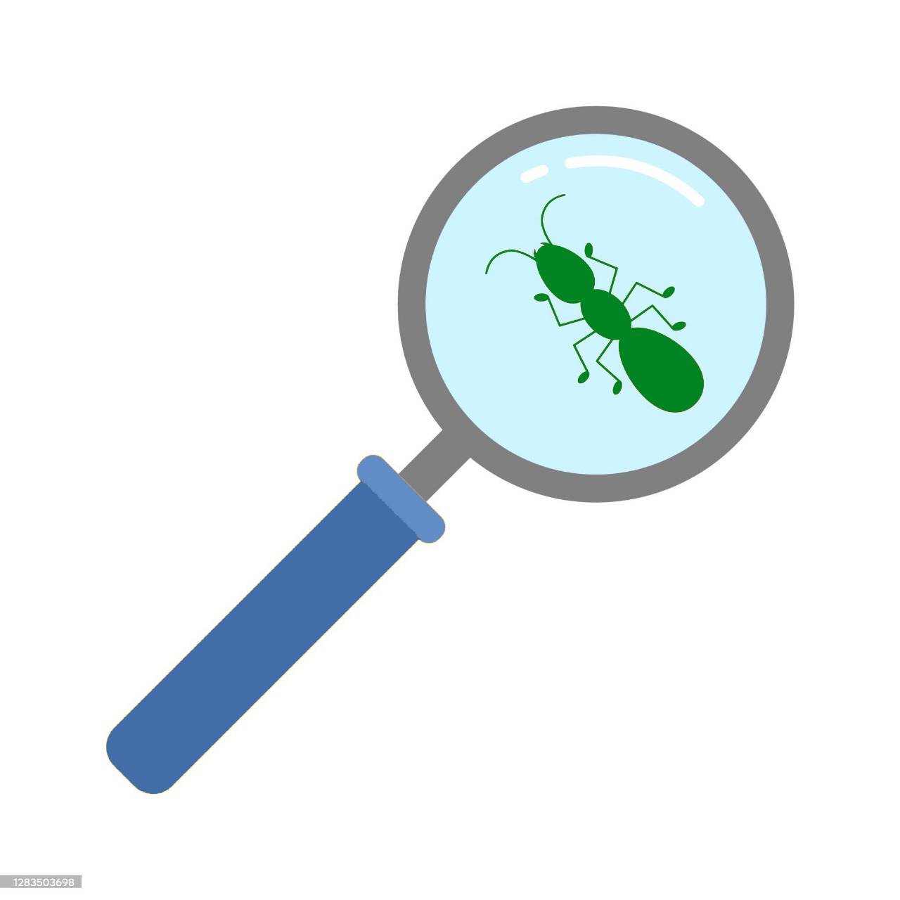 Identify Pest in Minutes | 1st Choice Pest Solutions